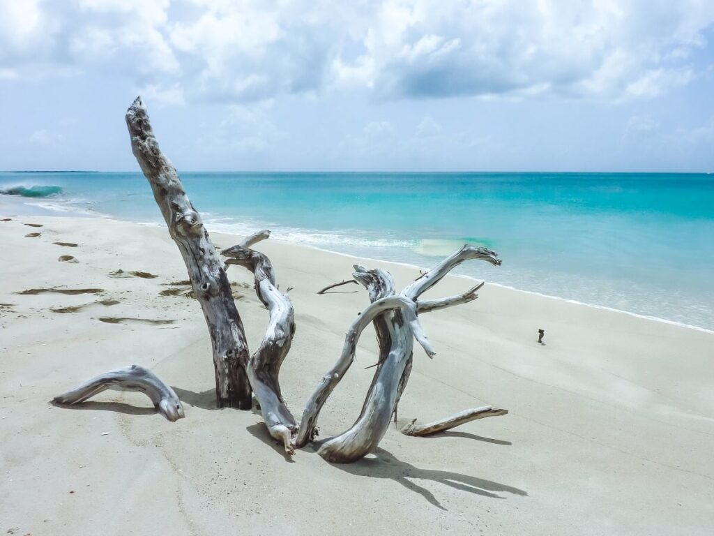 Unveiling the Best: Your Ultimate Guide to Things to Do in Barbuda