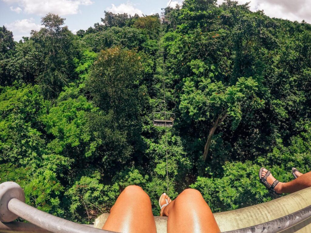 11 Unmissable Things To Do in Ocho Rios That’ll Make You Visit Now!