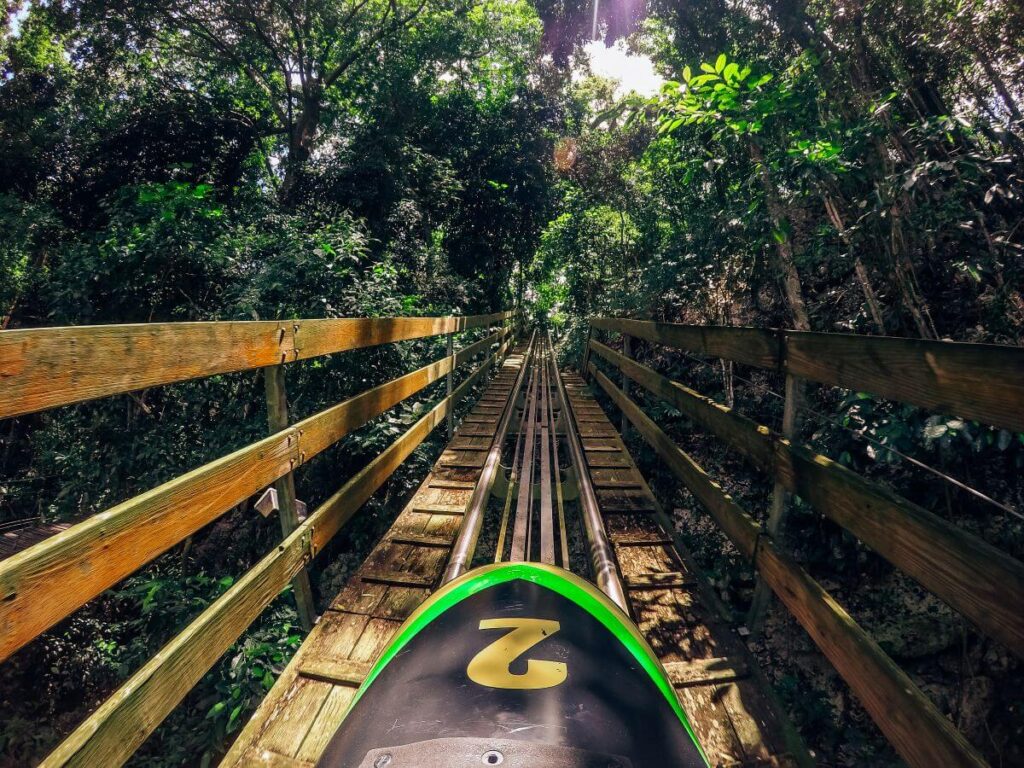 11 Unmissable Things To Do in Ocho Rios That’ll Make You Visit Now!