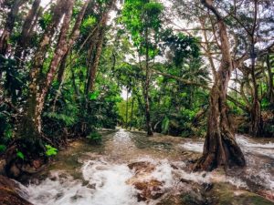 Unmissable Things To Do In Ocho Rios, Jamaica - Travel Done Clever