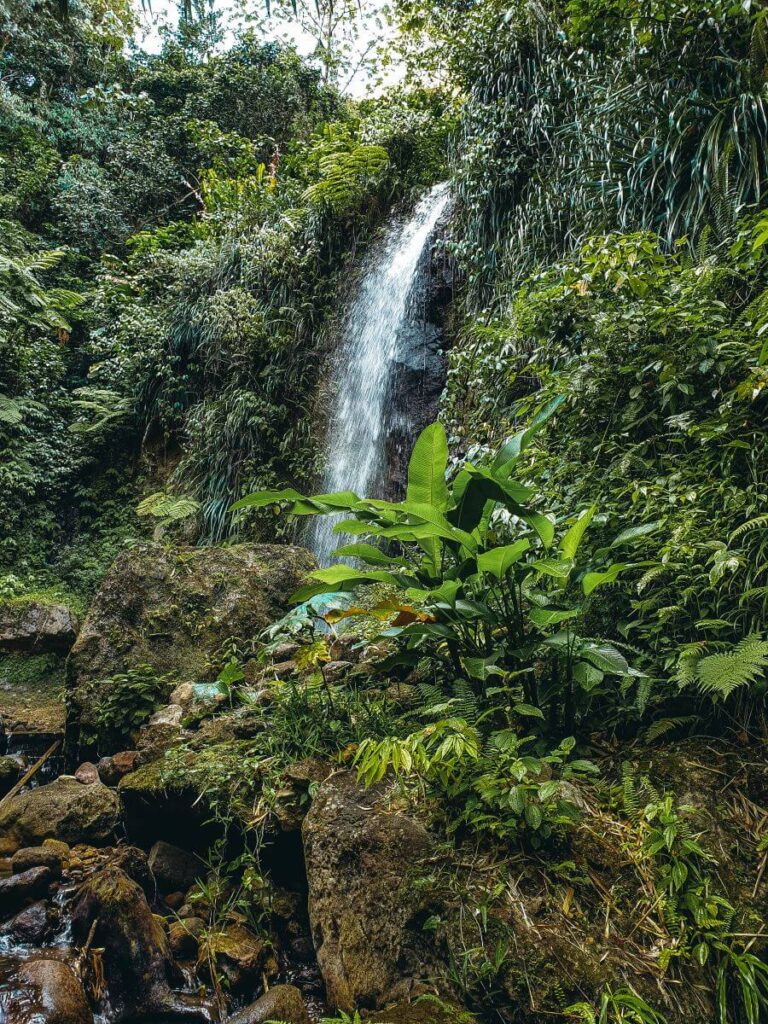 SAINT LUCIA BUCKET LIST: 21 Best Things To Do in St Lucia