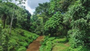 TOBAGO BUCKET LIST: 19 of the best things to do - Travel Done Clever