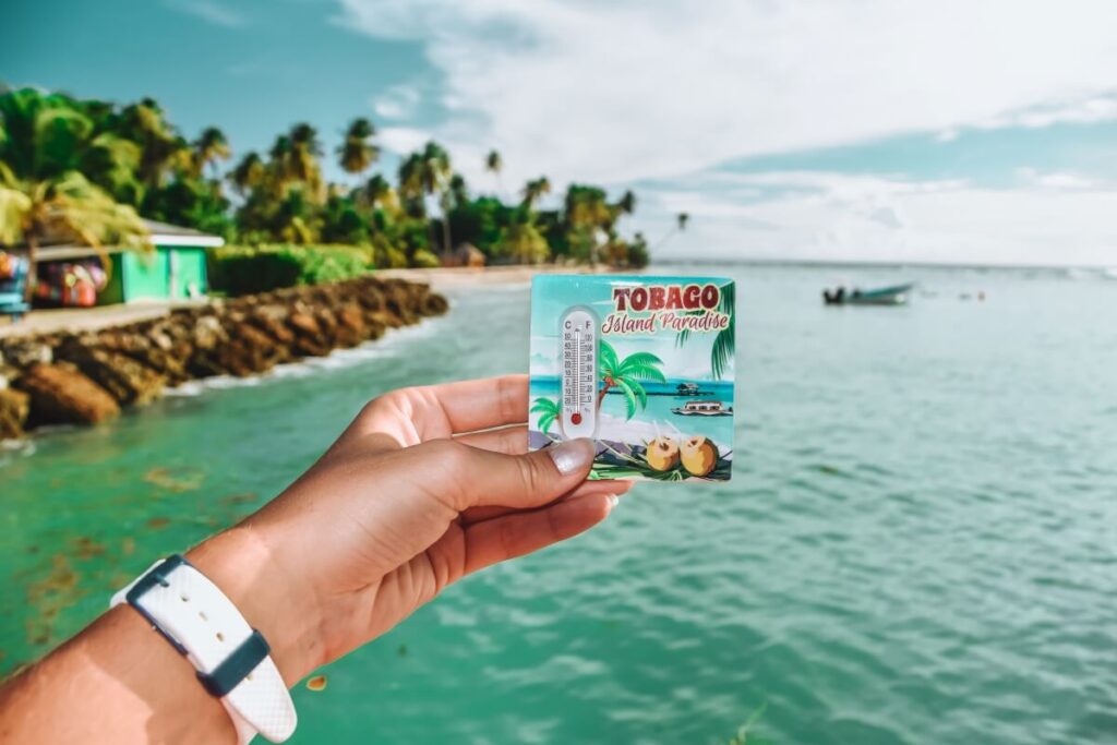 TOBAGO BUCKET LIST: 22 of the best things to do in Tobago