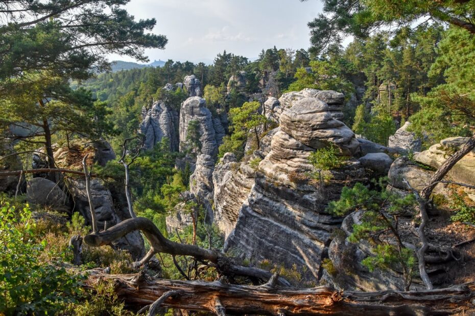 Prachov Rocks: fairy-tale rock formations near Prague
