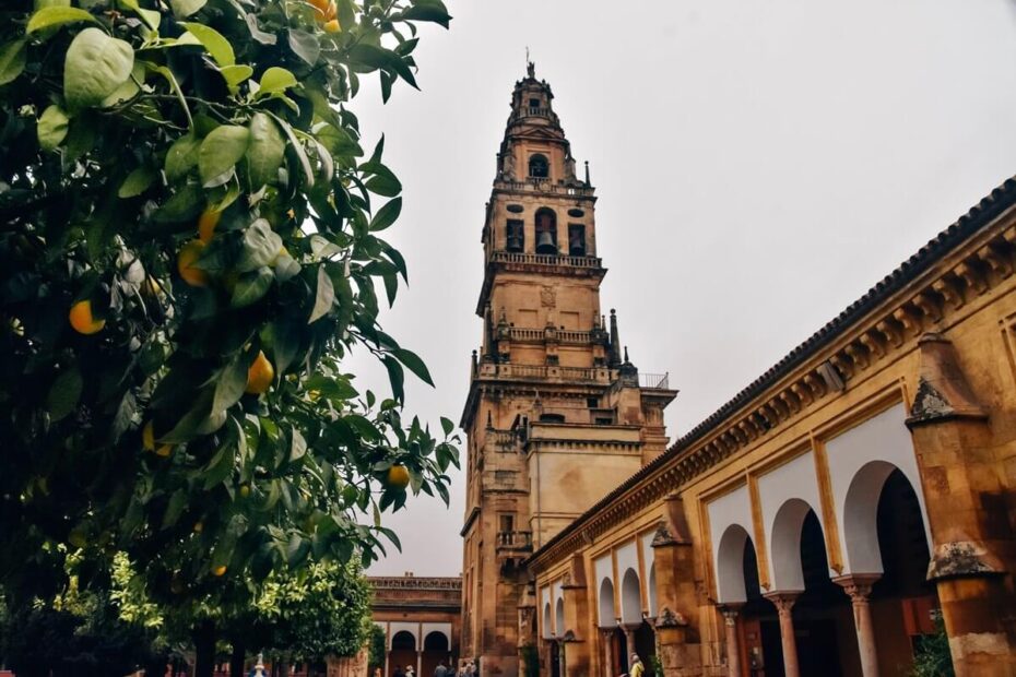 Decoding Cordoba: 21 of the best things to do in Cordoba