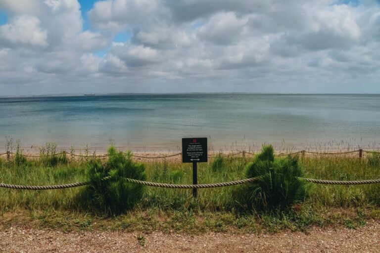 Which one of these Isle of Wight beaches is right for you?