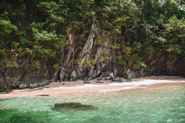 11 Best Beaches in Tobago Uncovered: Your Passport to Paradise!