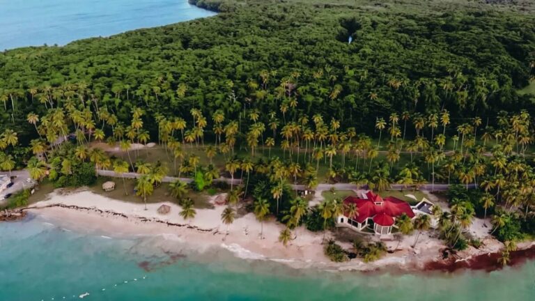 11 Best Beaches in Tobago Uncovered: Your Passport to Paradise!