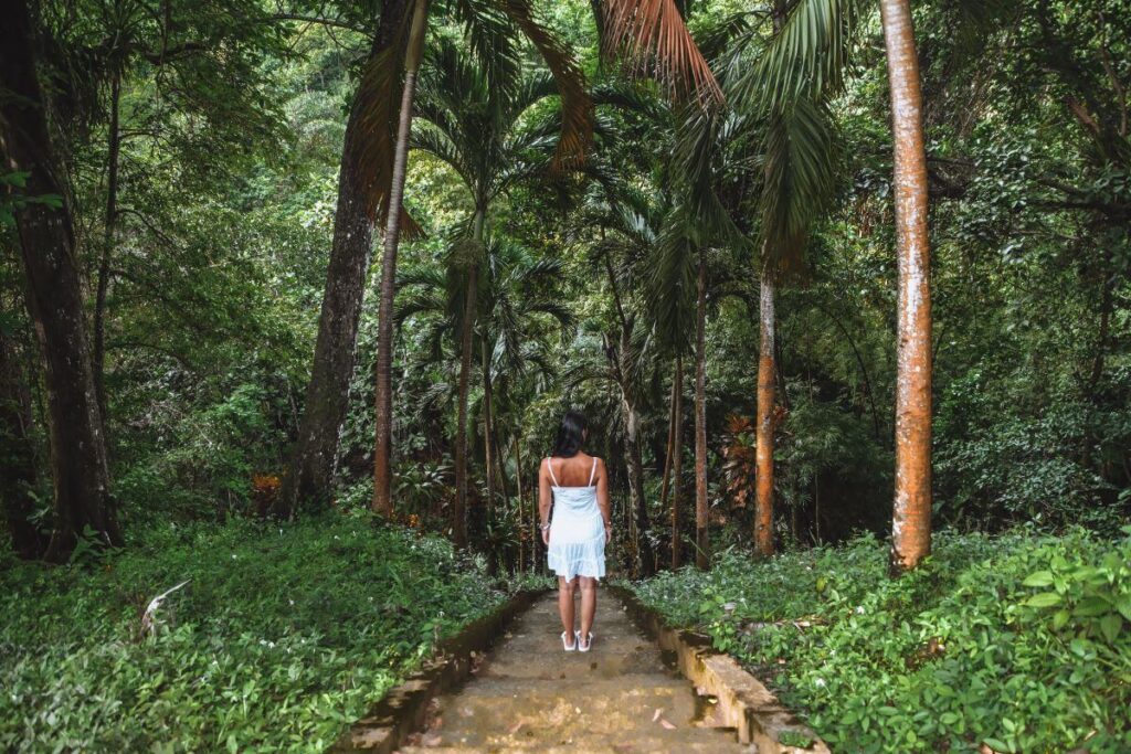 11 Best Beaches in Tobago Uncovered: Your Passport to Paradise!