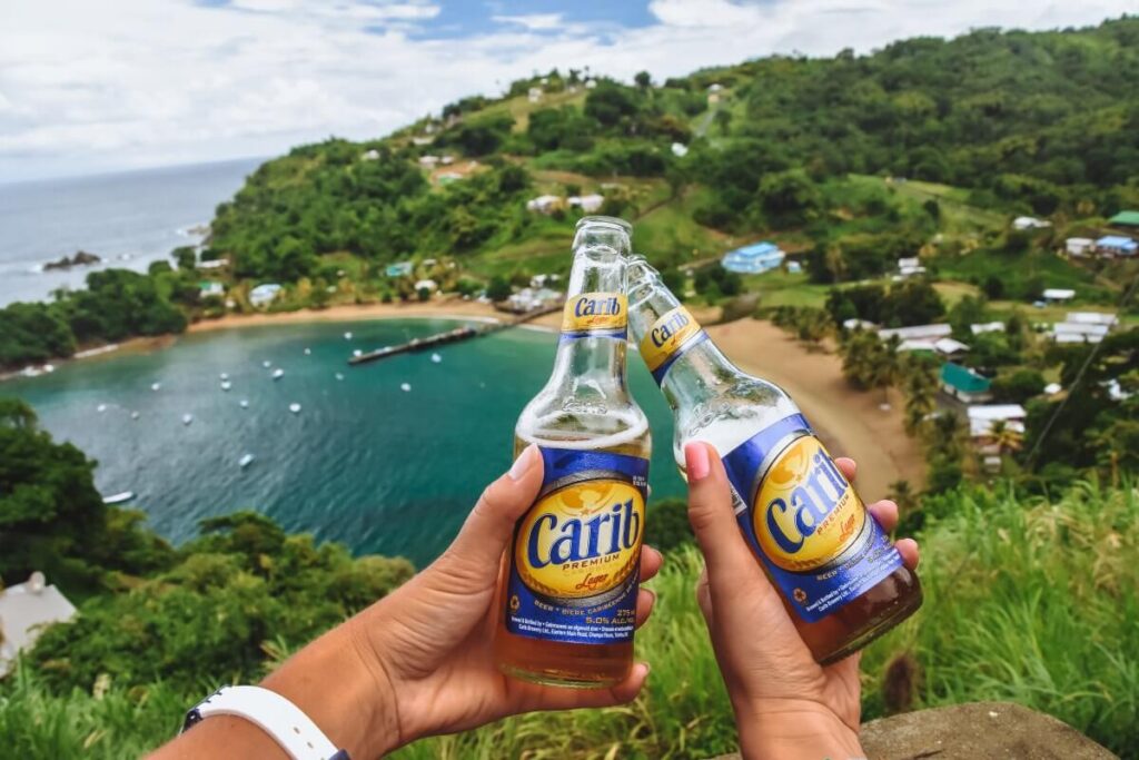 11 Best Beaches in Tobago Uncovered: Your Passport to Paradise!