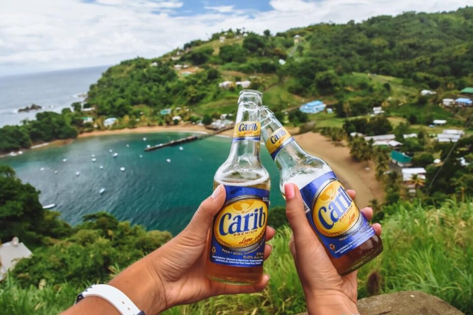 11 Best Beaches in Tobago Uncovered: Your Passport to Paradise!