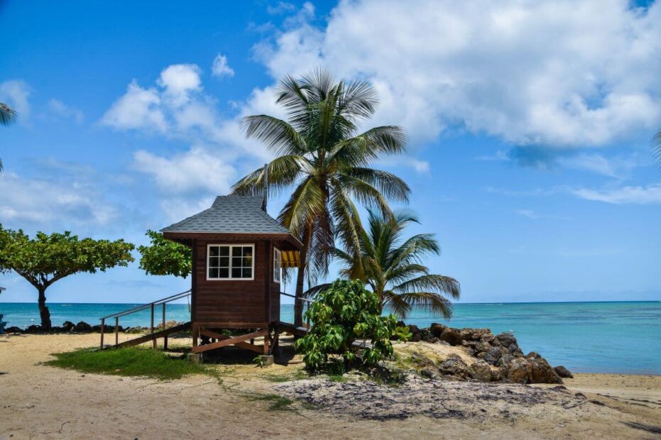 11 Best Beaches in Tobago Uncovered: Your Passport to Paradise!