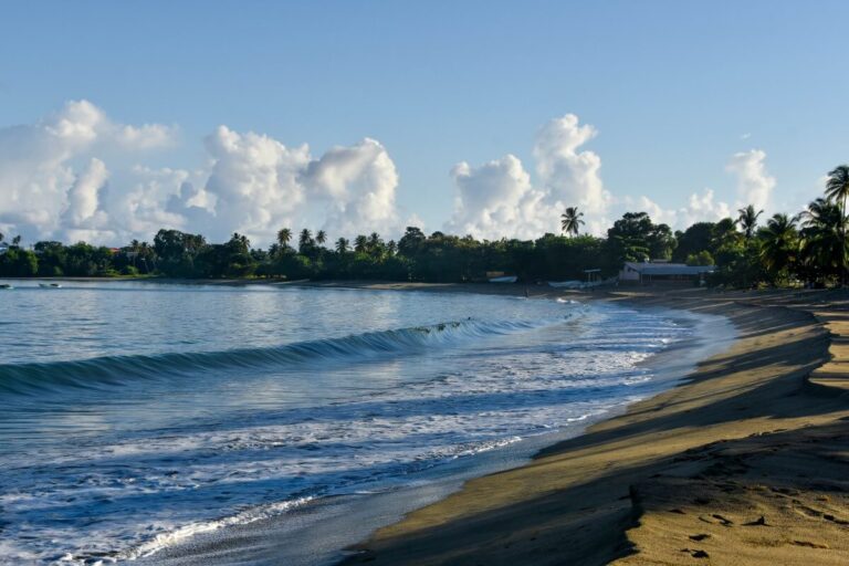 11 Best Beaches in Tobago Uncovered: Your Passport to Paradise!