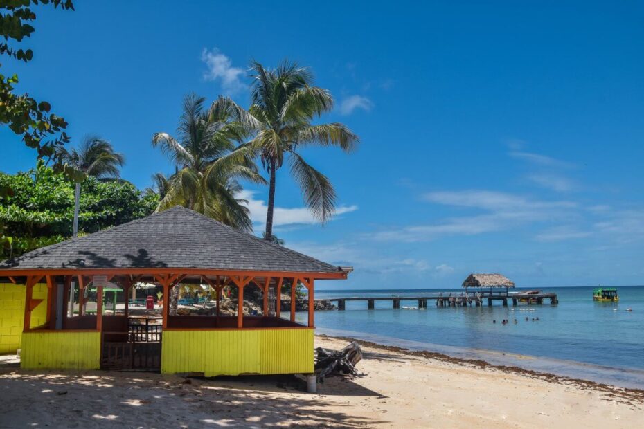 11 Best Beaches in Tobago Uncovered: Your Passport to Paradise!