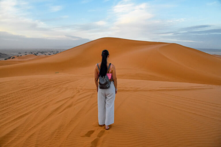 Beyond Sand: 17 Fascinating Sahara Desert Facts That Most People Don’t ...