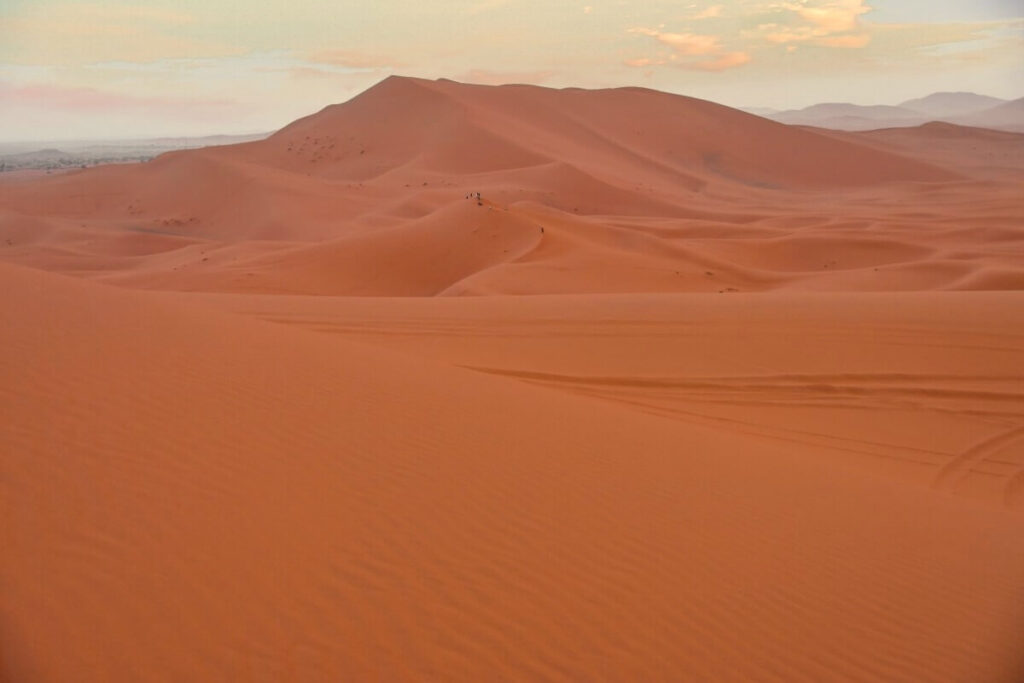 Beyond Sand: 17 Fascinating Sahara Desert Facts That Most People Don’t ...