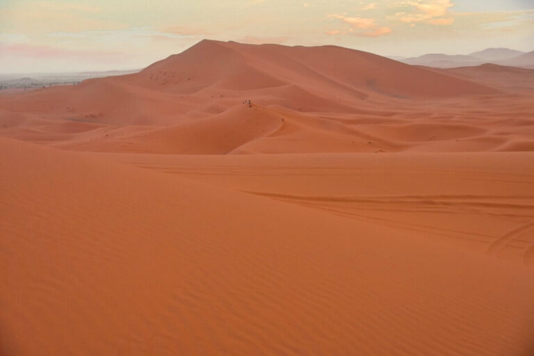 Beyond Sand: 17 Fascinating Sahara Desert Facts That Most People Don’t ...