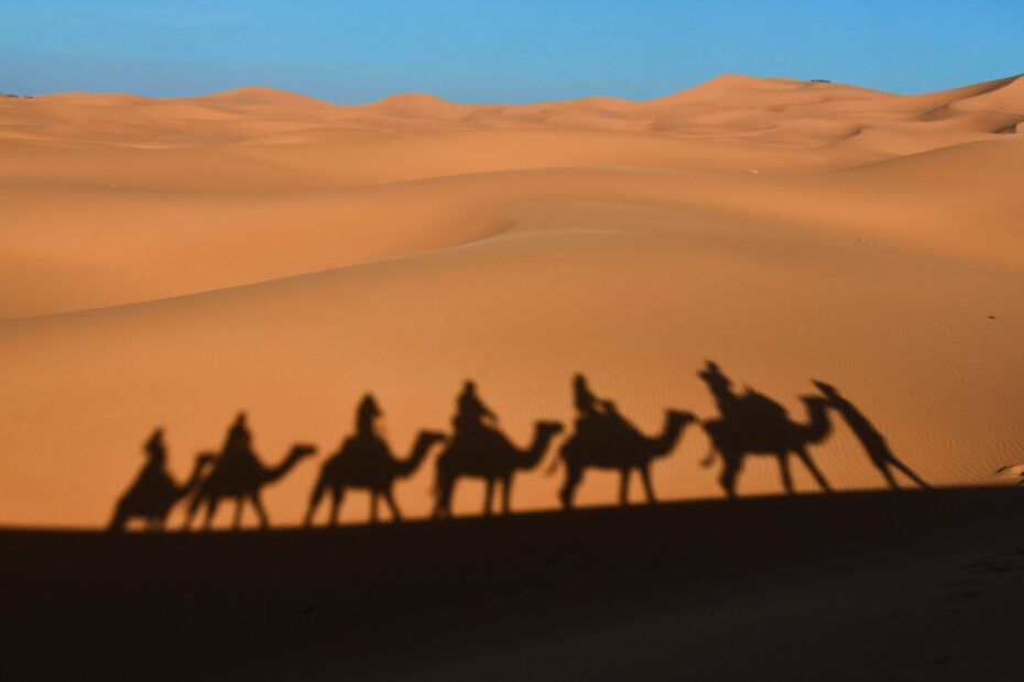 Beyond Sand: 17 Fascinating Sahara Desert Facts That Most People Don’t ...