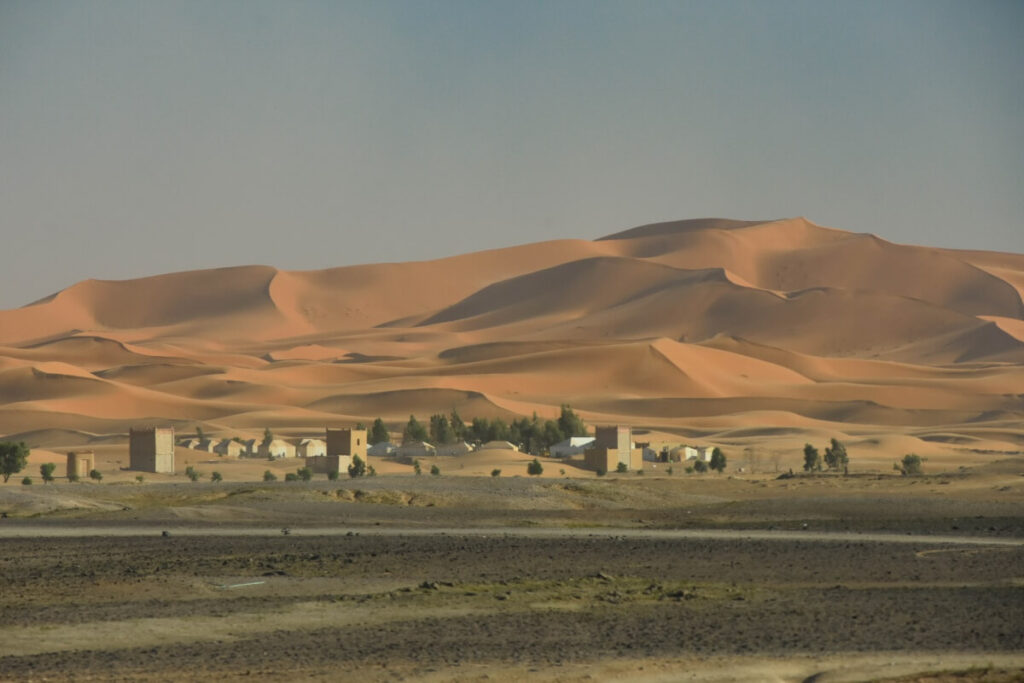 Beyond Sand: 17 Fascinating Sahara Desert Facts That Most People Don’t ...